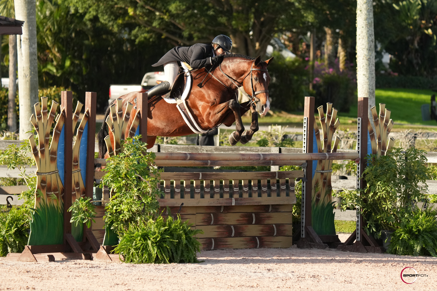 Victoria Colvin and Paradigm Named First International Derby Winners of ...