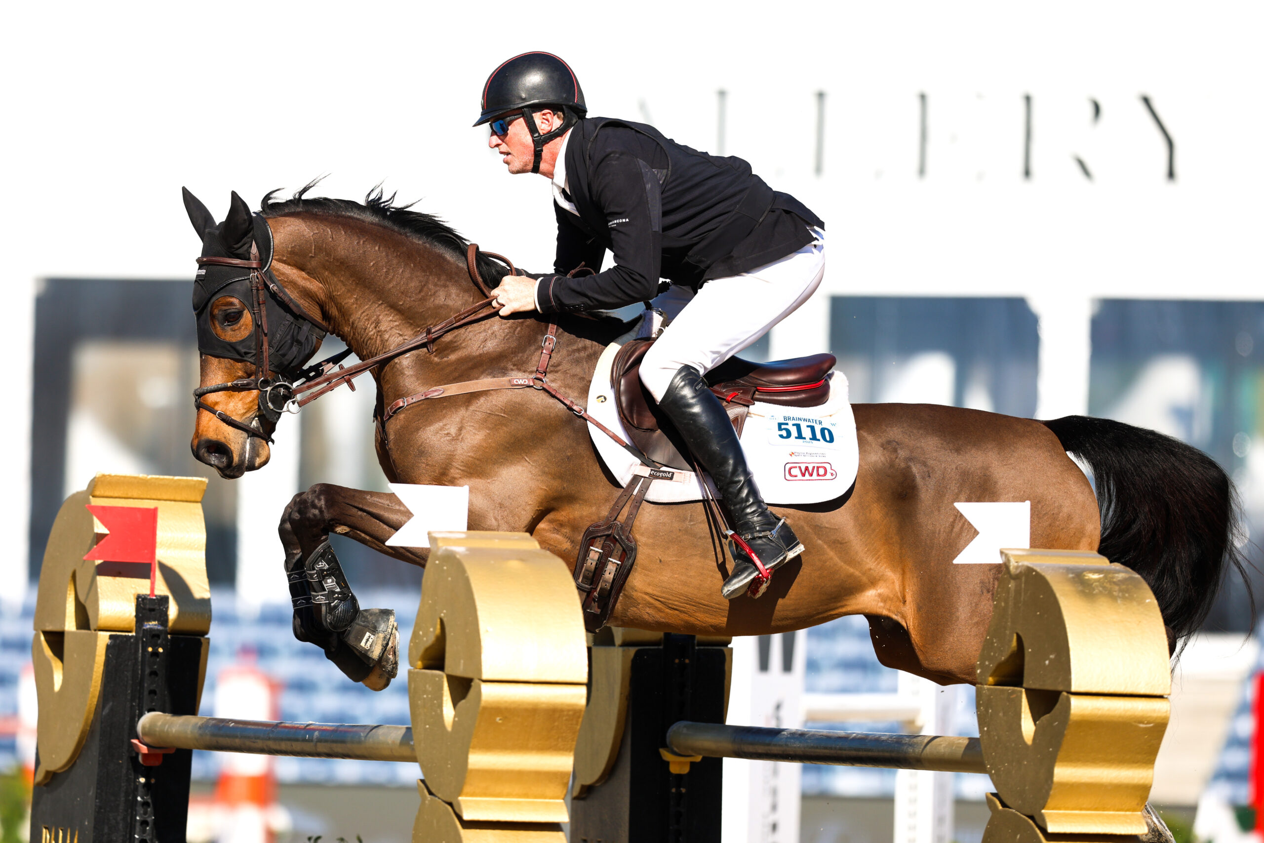 Rider Spotlight: Catching Up With Doug Payne - Wellington International