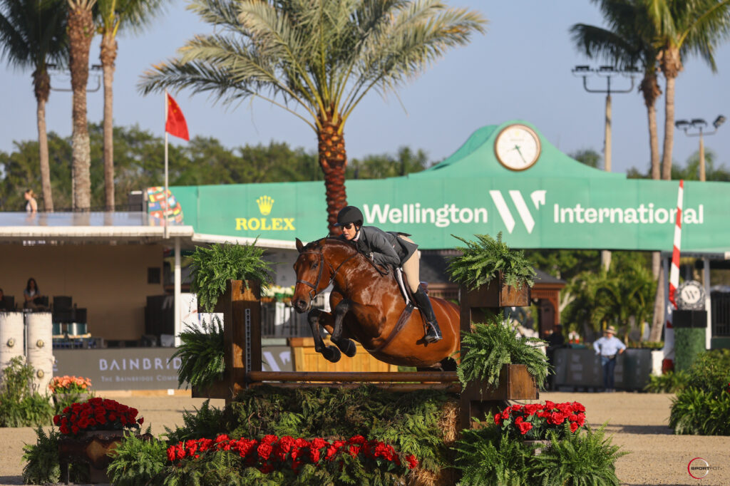 Patricia Griffith and Divine Romance Win Big During WCHR Week at WEF ...