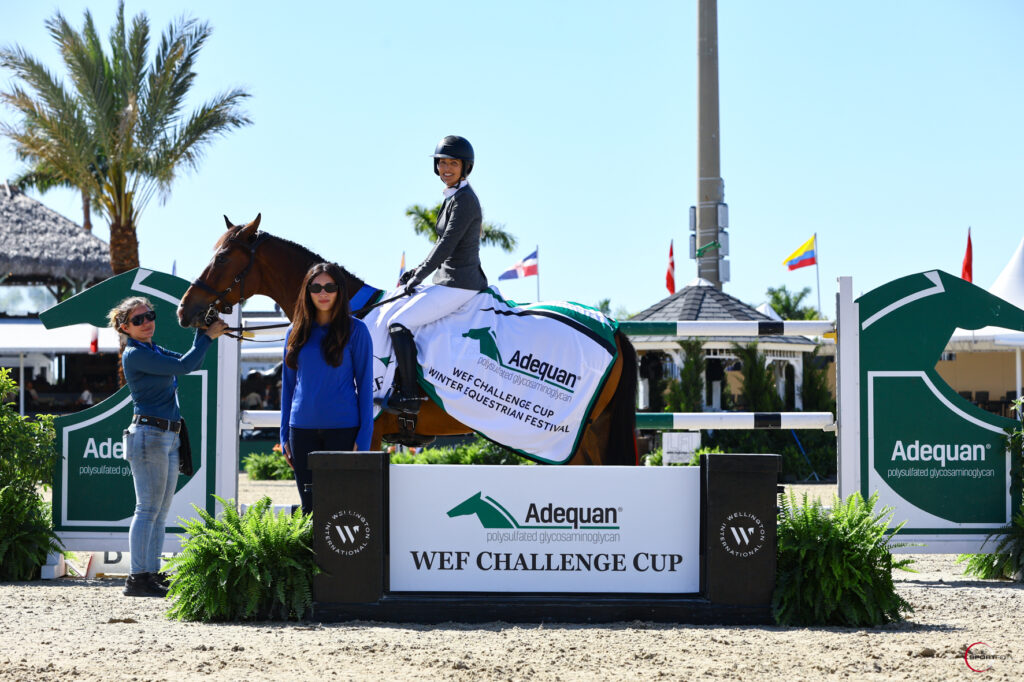 Ashlee Bond Reveals a Star in Night Wish - Wellington International