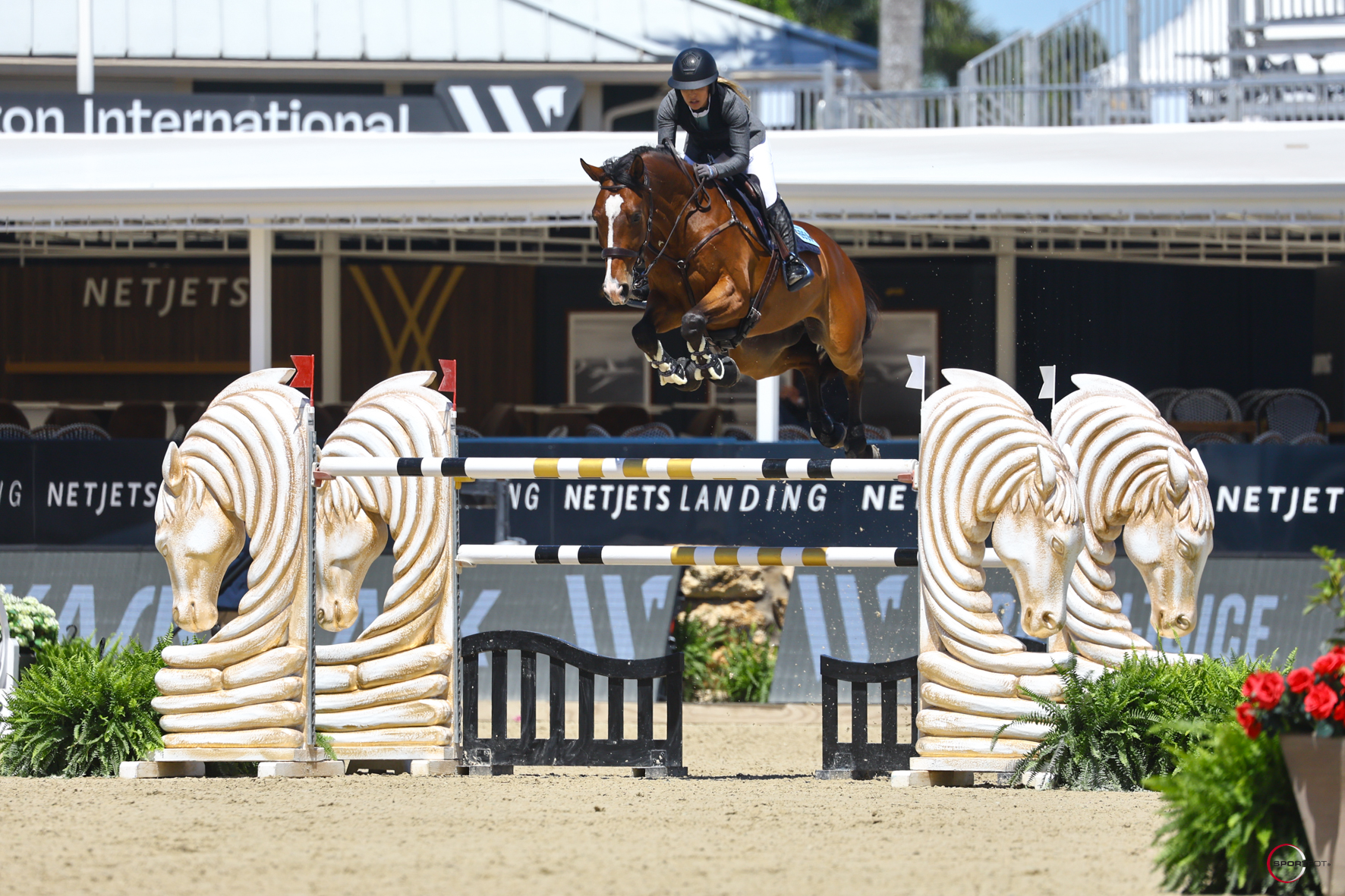 Ashlee Bond Reveals a Star in Night Wish - Wellington International