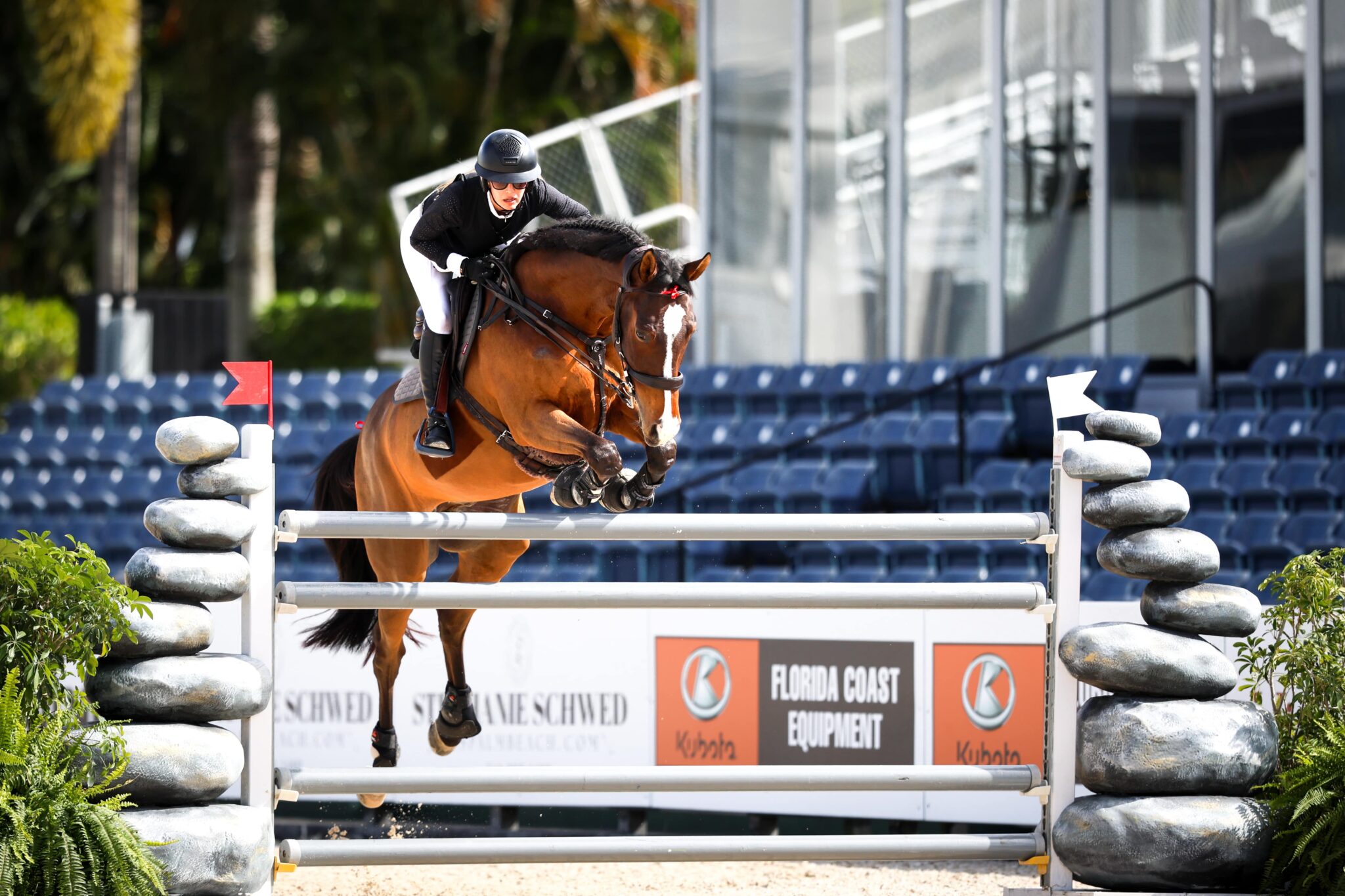 Saturday Highlights: Speed, Style, and Elite Competition – Wellington ...