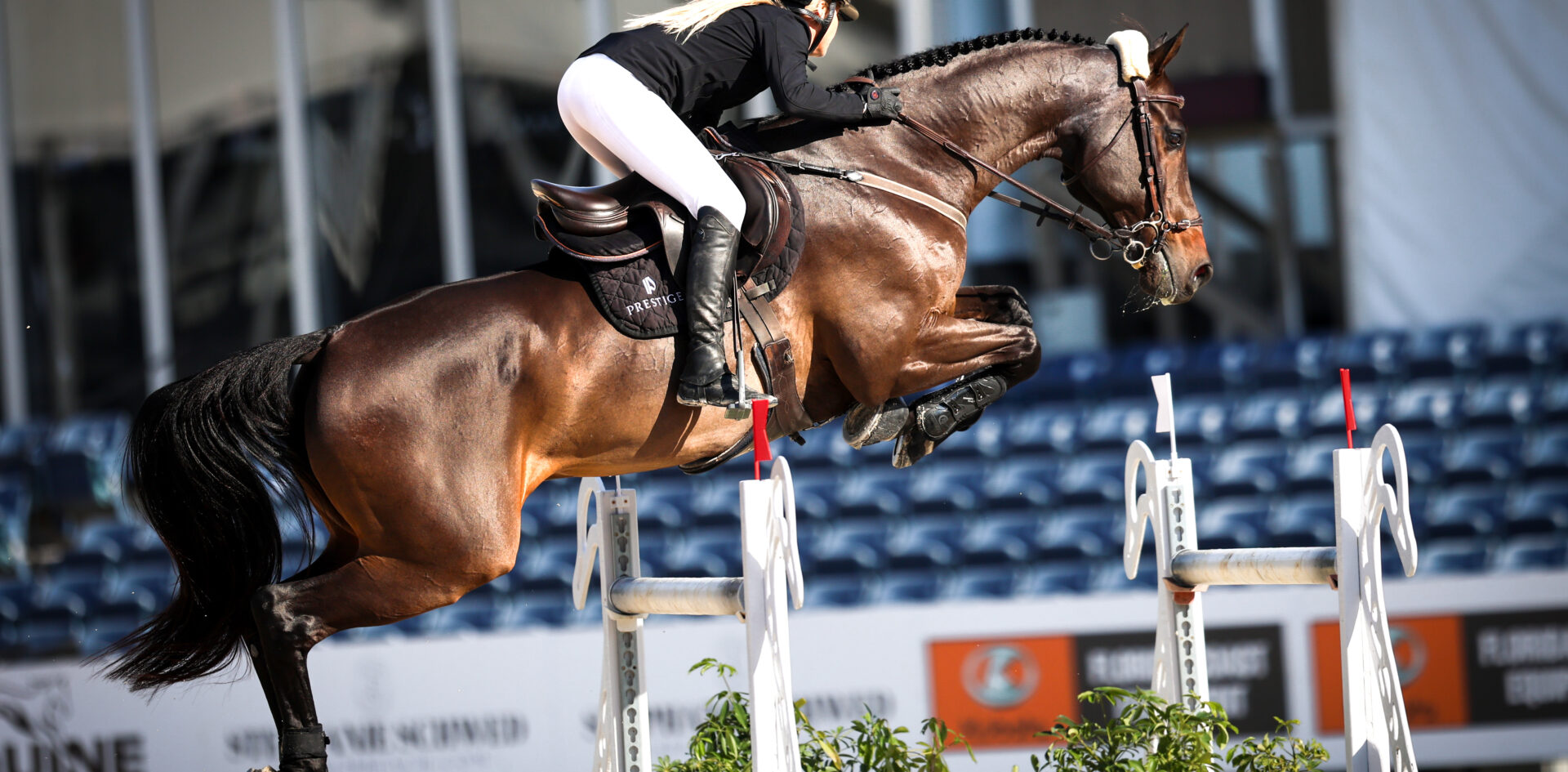 From Hunters to CSI3*: Friday Delivers Full-Day Action at ESP Pre ...