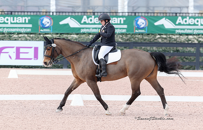 USA Clinches Victory in Team Portion of First CPEDI 3* of 2016 Circuit ...