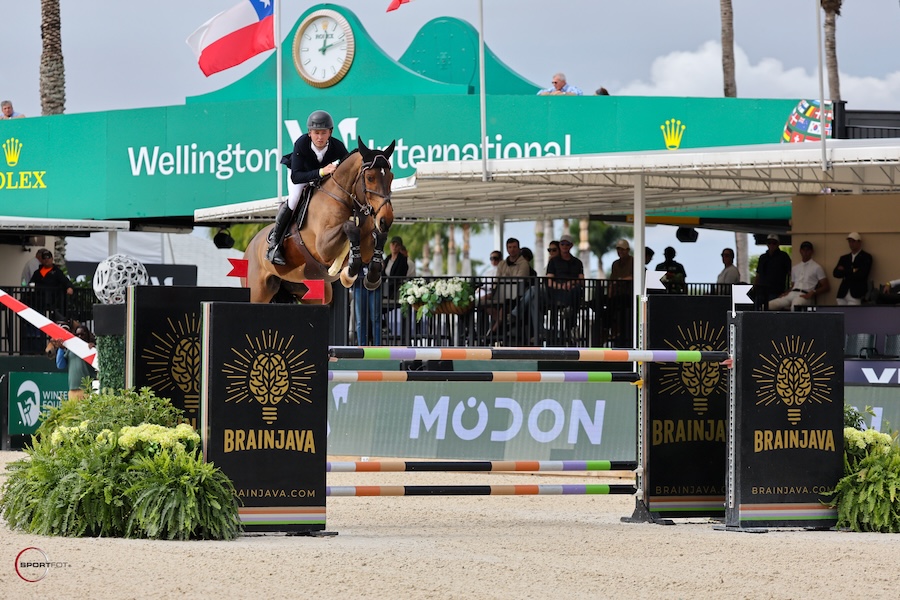 Lucas Porter Makes His Return with Vigakata at Wellington International ...
