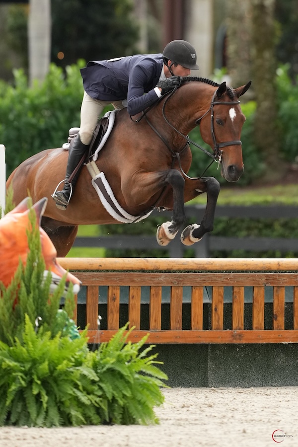 Lucas Porter Makes His Return with Vigakata at Wellington International ...