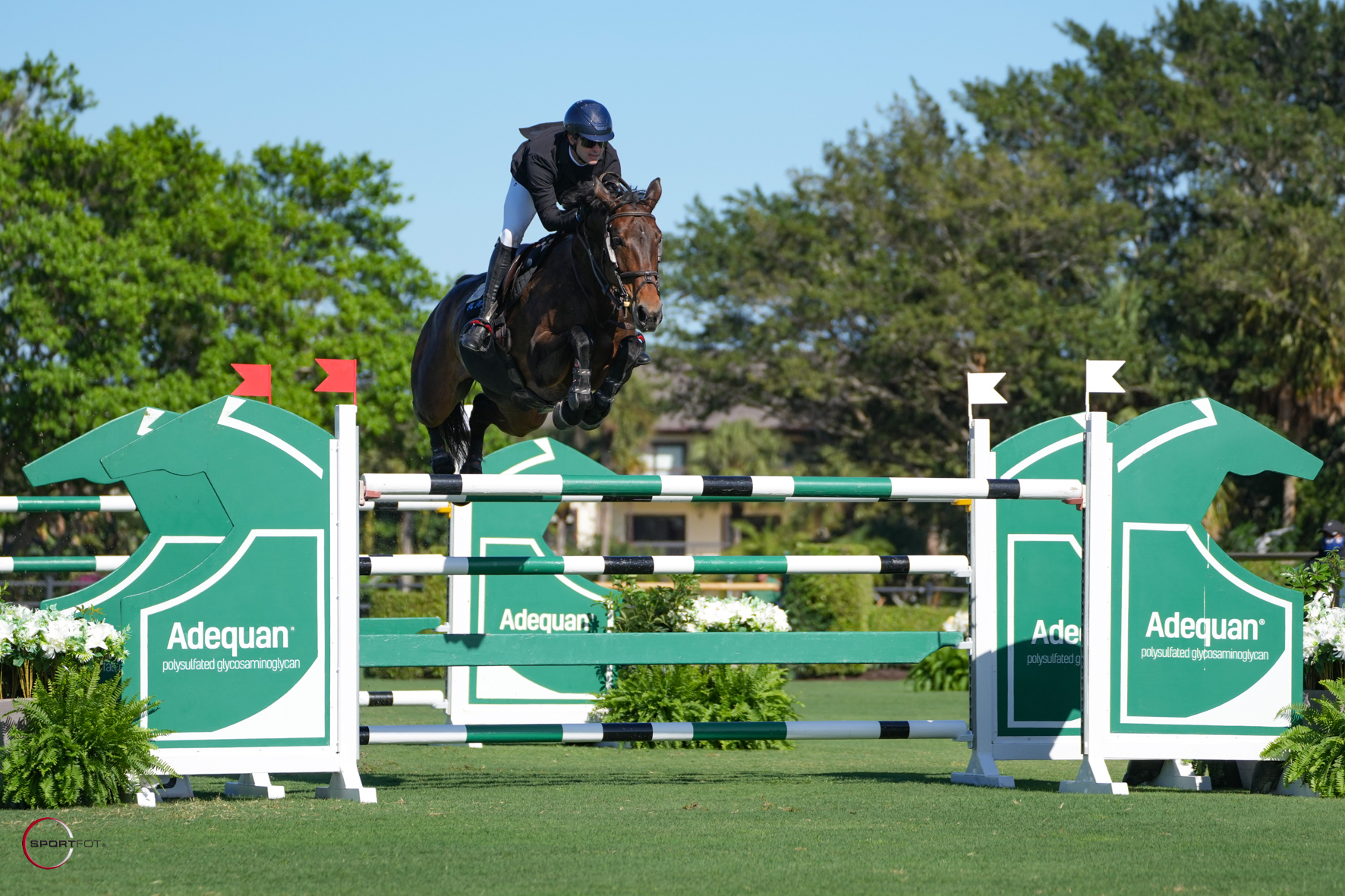 Luis Fernando Larrazabal Enjoys the Process in Adequan® WEF Challenge ...