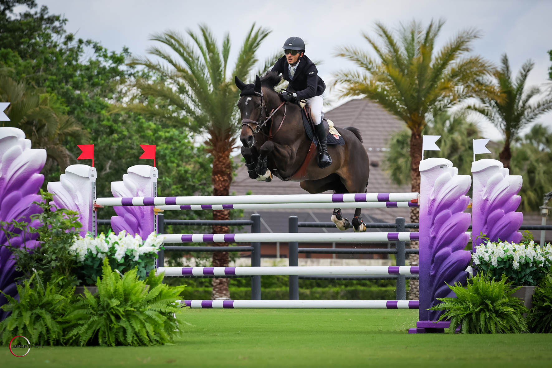 Mark Bluman and Phelina de Septon Keep Streak Alive – Wellington ...