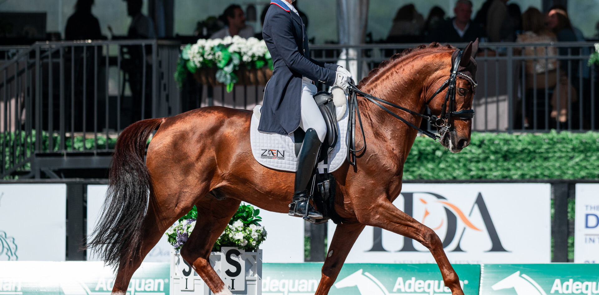 Christian Simonson’s ‘Little Lion’ Fleau De Baian Roars to First CDI ...